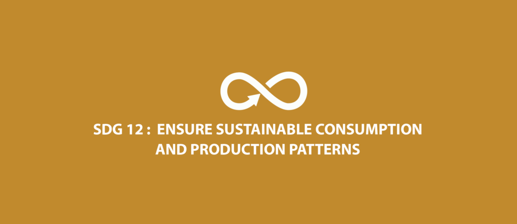 Sdg 12 Responsible Consumption And Production